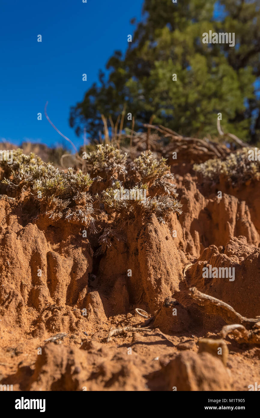 Soil Stabilization High Resolution Stock Photography and Images - Alamy