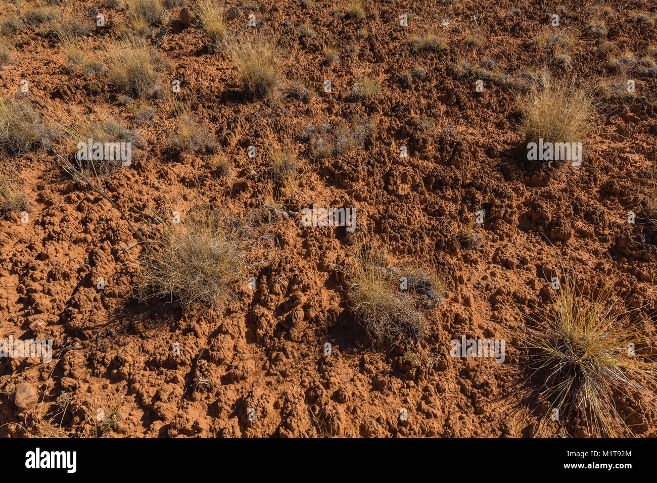 Soil crust hi-res stock photography and images - Alamy