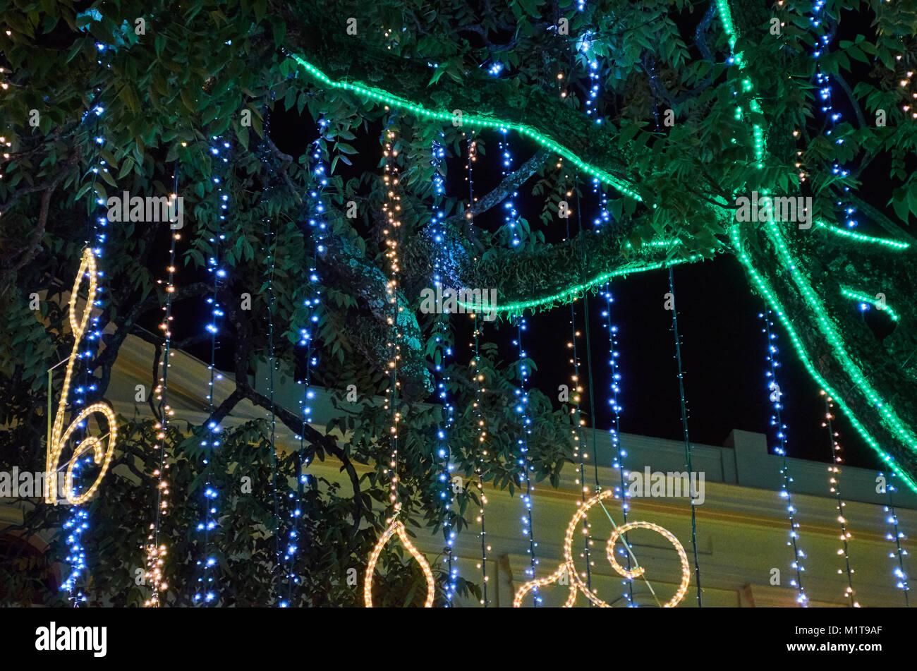 BOGOTA, COLOMBIA - DECEMBER 30, 2014: Christmas decoration in the ...