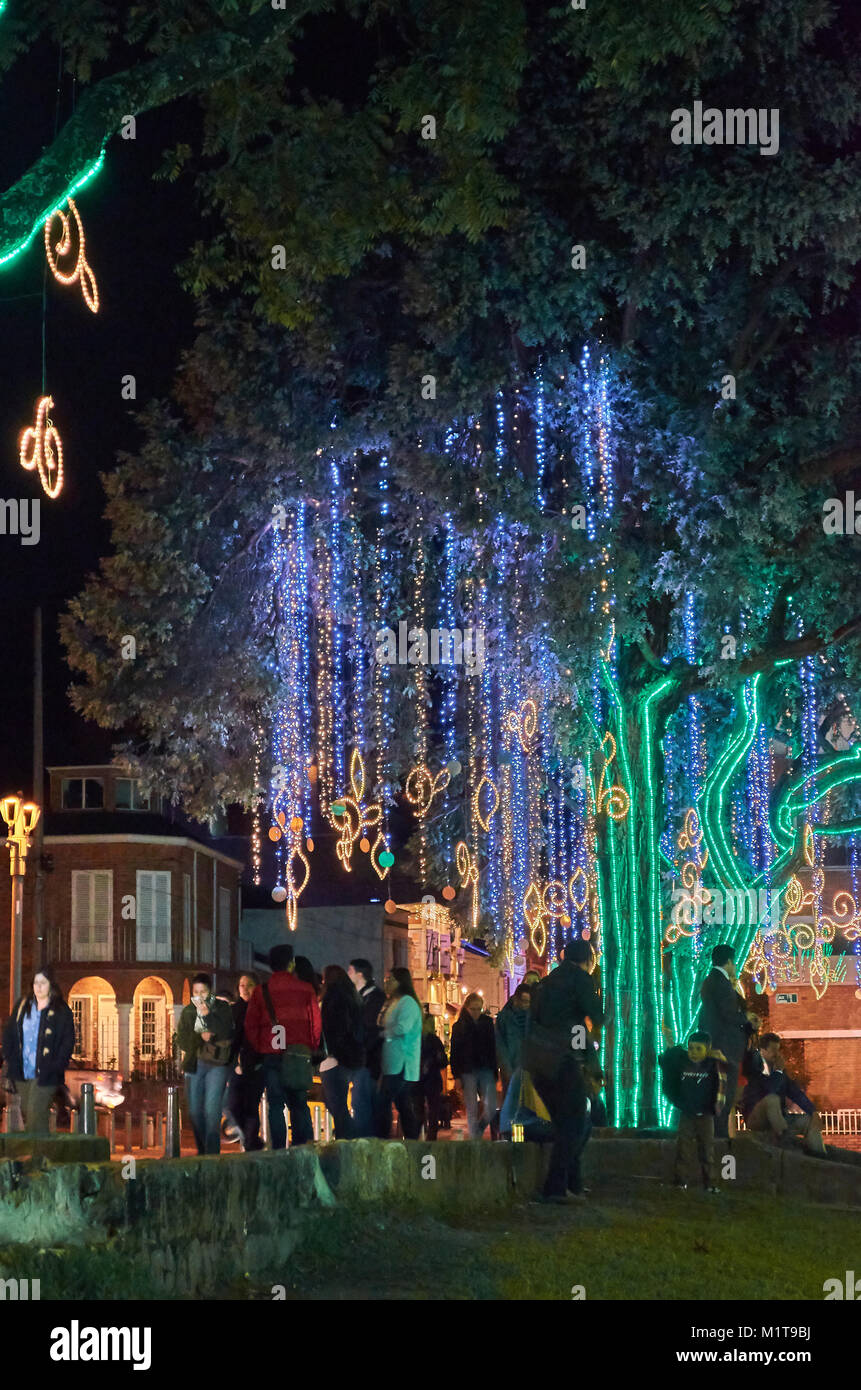 BOGOTA, COLOMBIA - DECEMBER 30, 2014: Christmas decoration in the ...