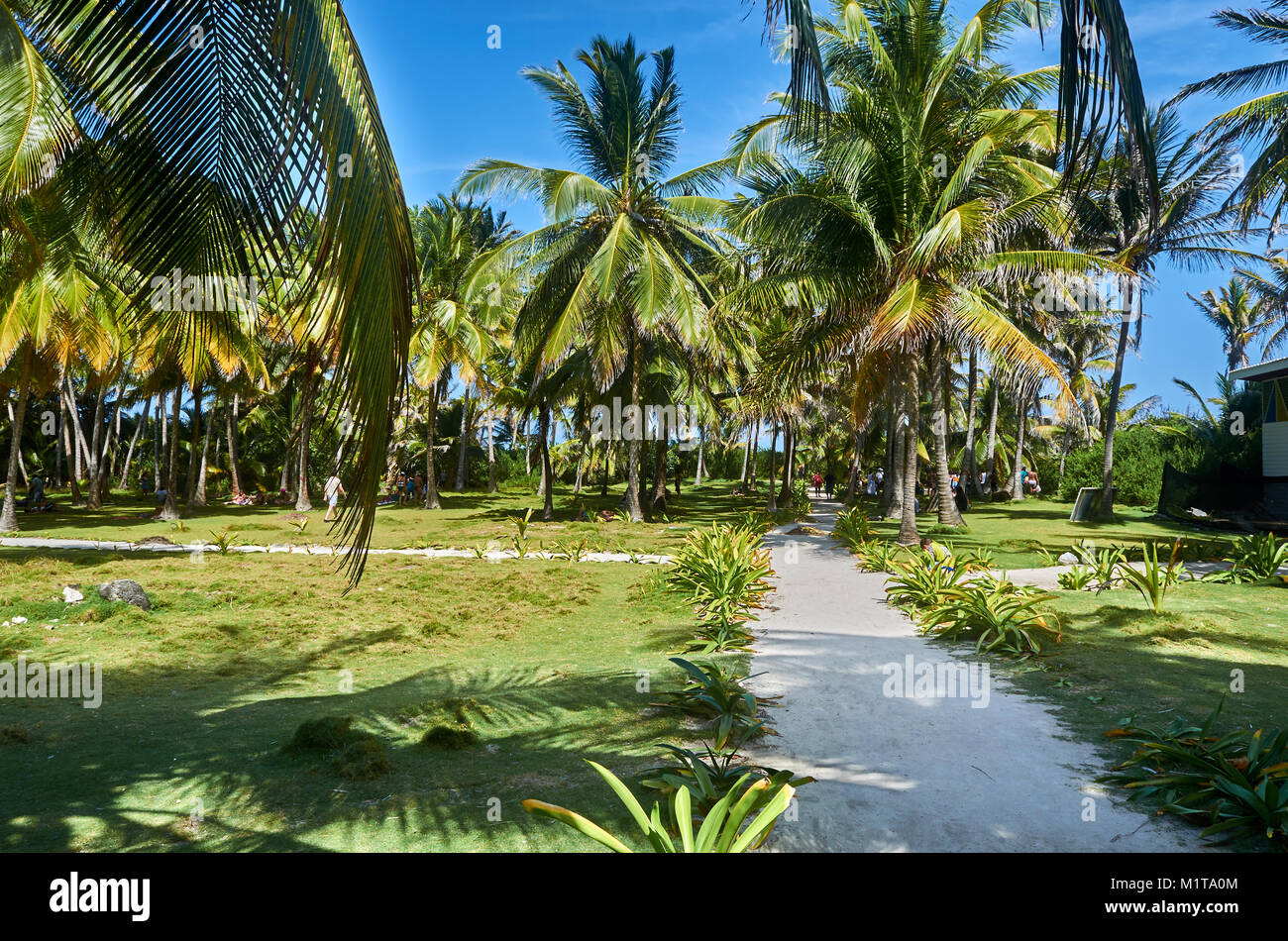 JOHNNY CAY, COLOMBIA - JANUARY 09, 2015: Some paths and space for relax ...