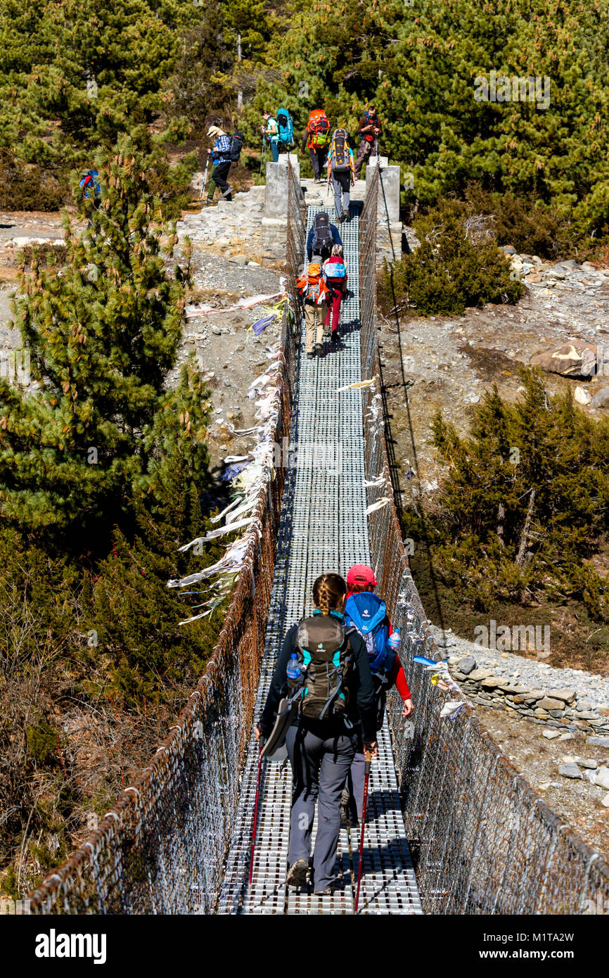 Tourists crossing suspension bridge on Annapurna Trek, Himalayas. The ...