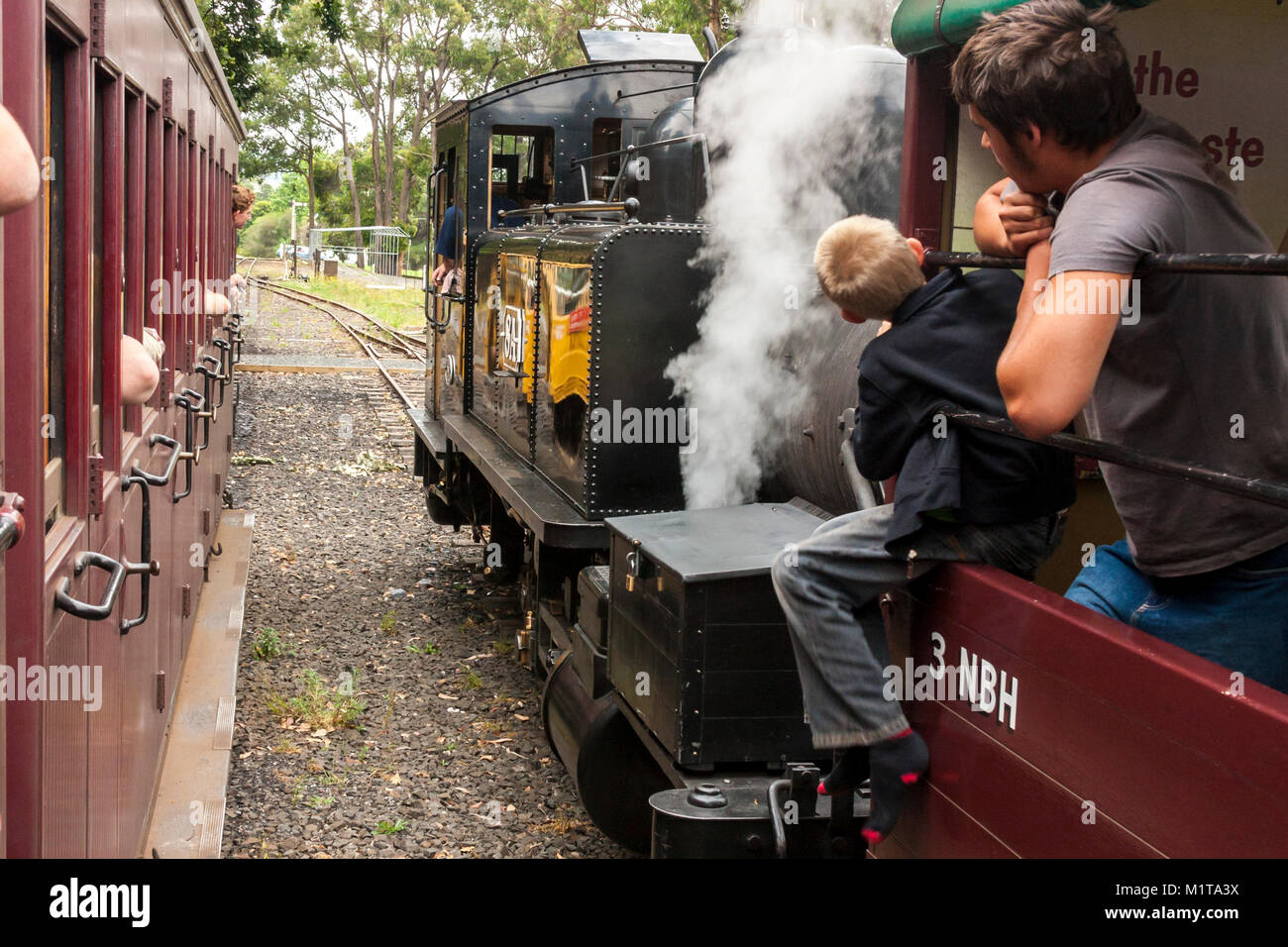 Melbourne, Australia. Puffing Billy steam train with passengers. Puffing Billy is historical ...