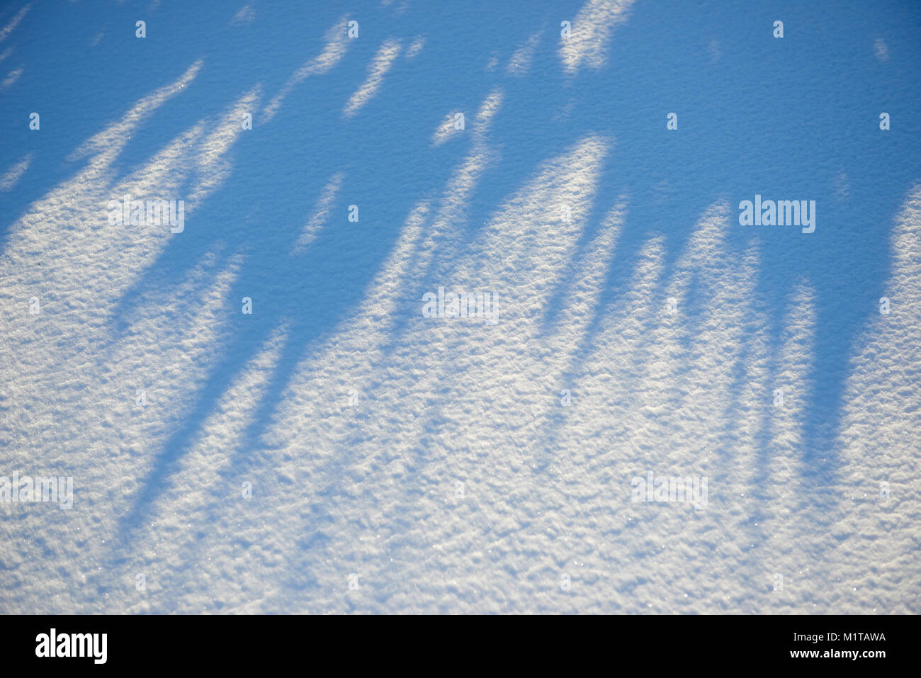 snow with shadows for texture or background at sunny day, bright light ...