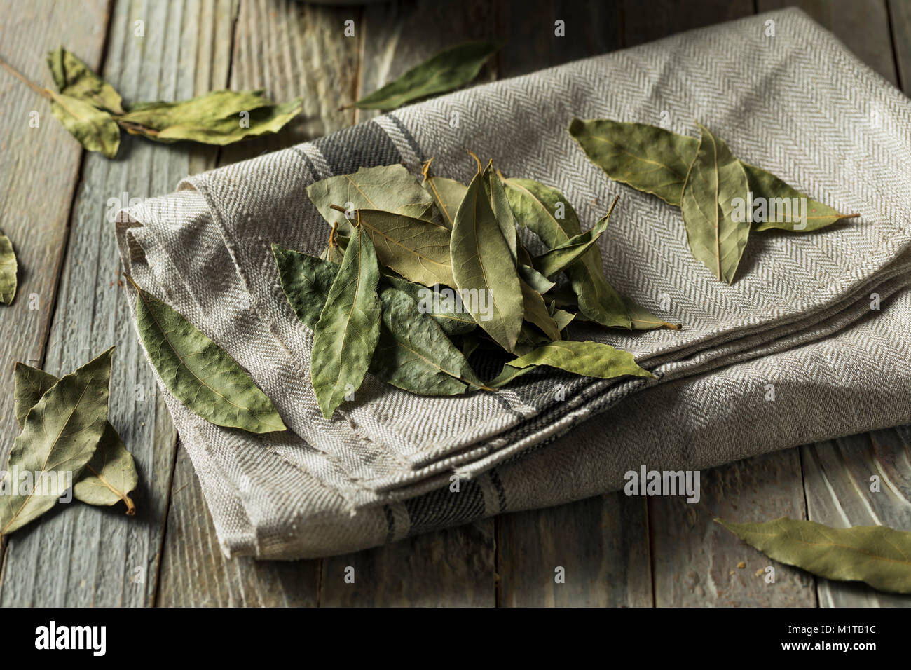 Raw Dry Organic Laurel Leaves Ready to Use Stock Photo - Alamy