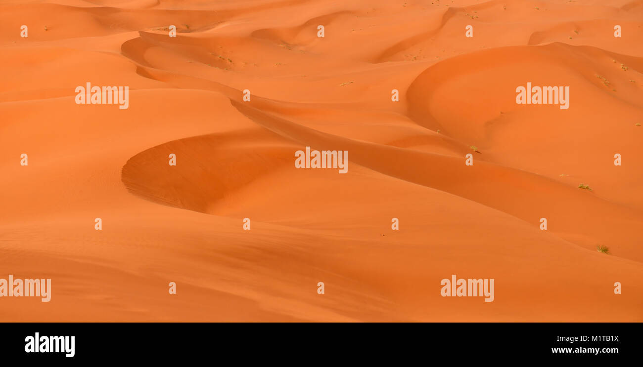 Orange dunes of the Sahara Desert as waves of the boundless ocean Stock ...