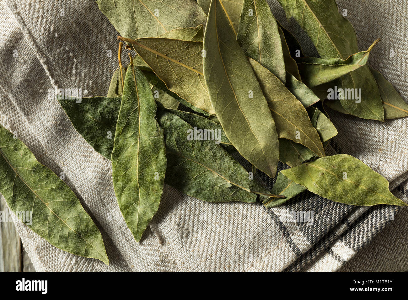 Raw Dry Organic Laurel Leaves Ready to Use Stock Photo - Alamy