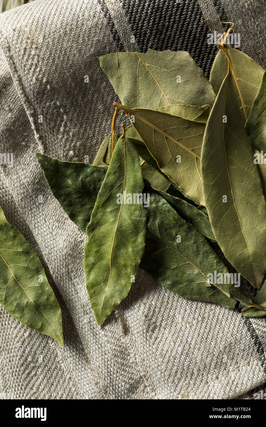 Raw Dry Organic Laurel Leaves Ready to Use Stock Photo - Alamy