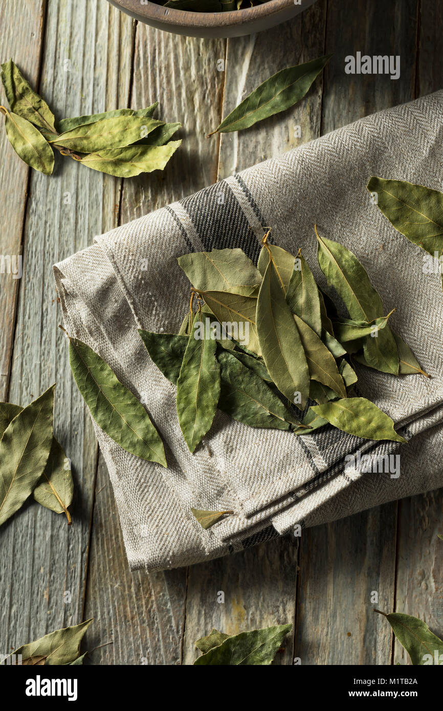 Branch laurel bay leaves hi-res stock photography and images - Alamy