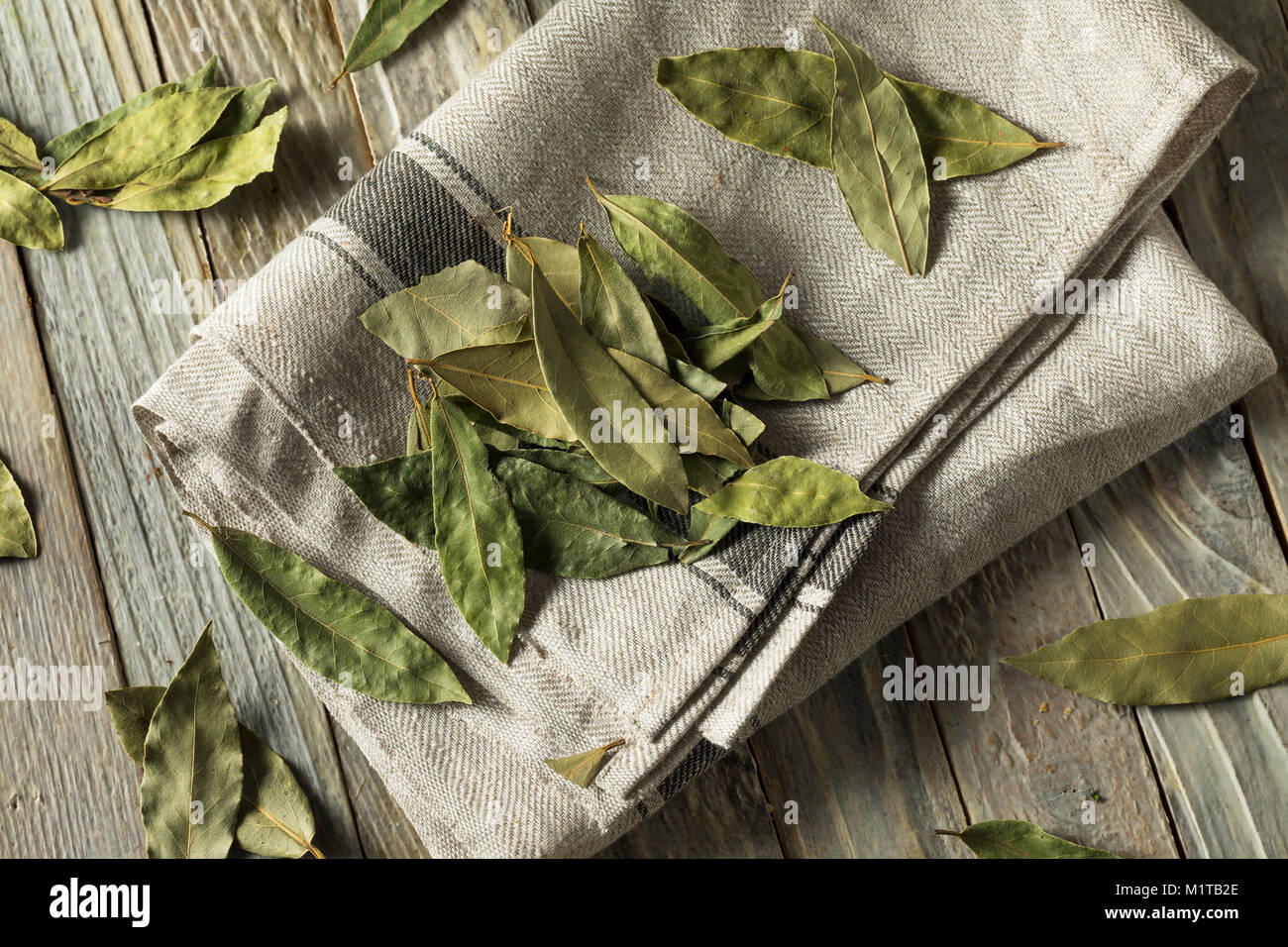 Raw Dry Organic Laurel Leaves Ready to Use Stock Photo - Alamy