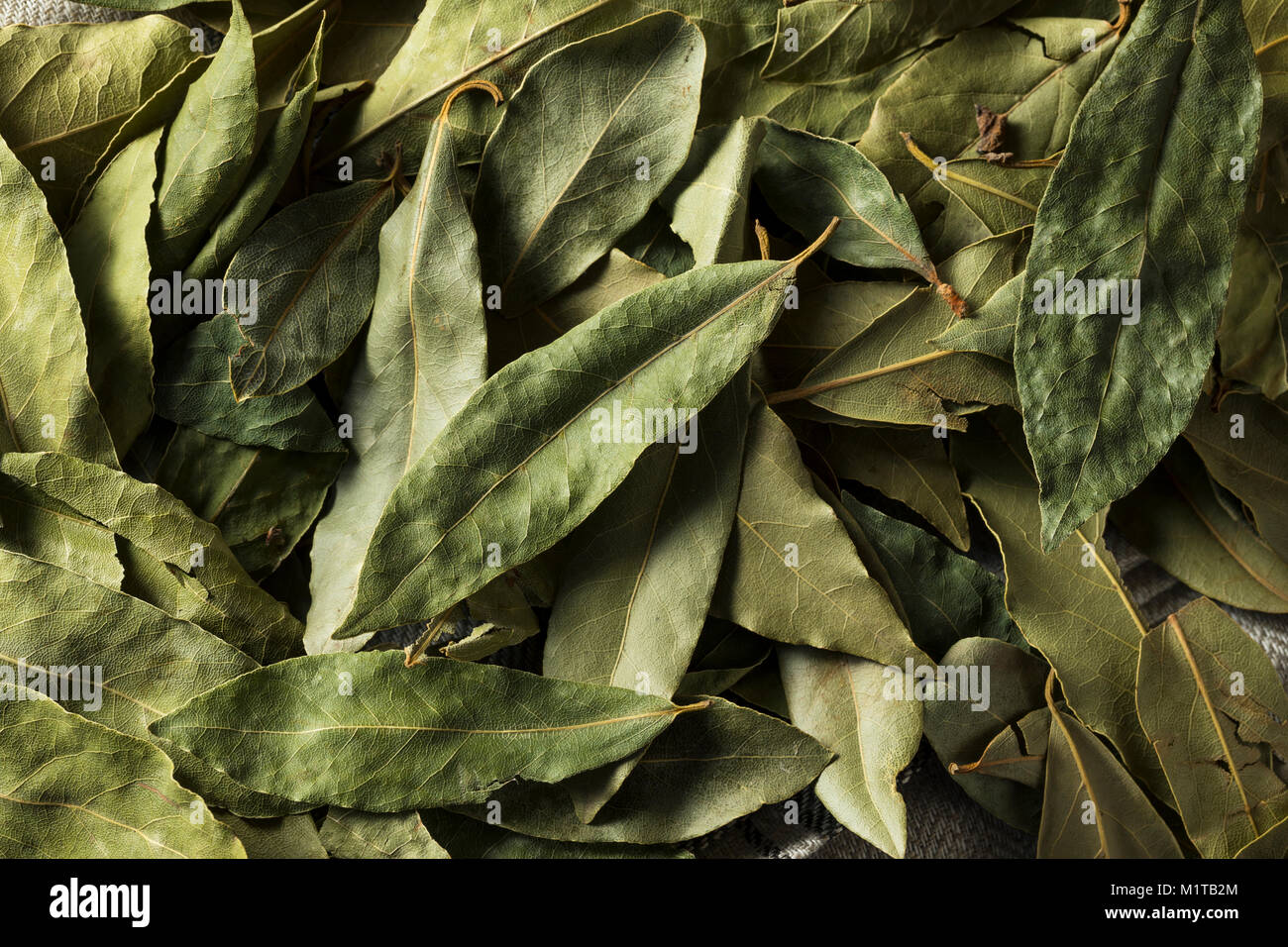Laurel leaves hi-res stock photography and images - Alamy