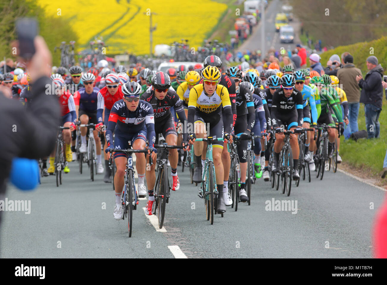 Fimber hi-res stock photography and images - Alamy