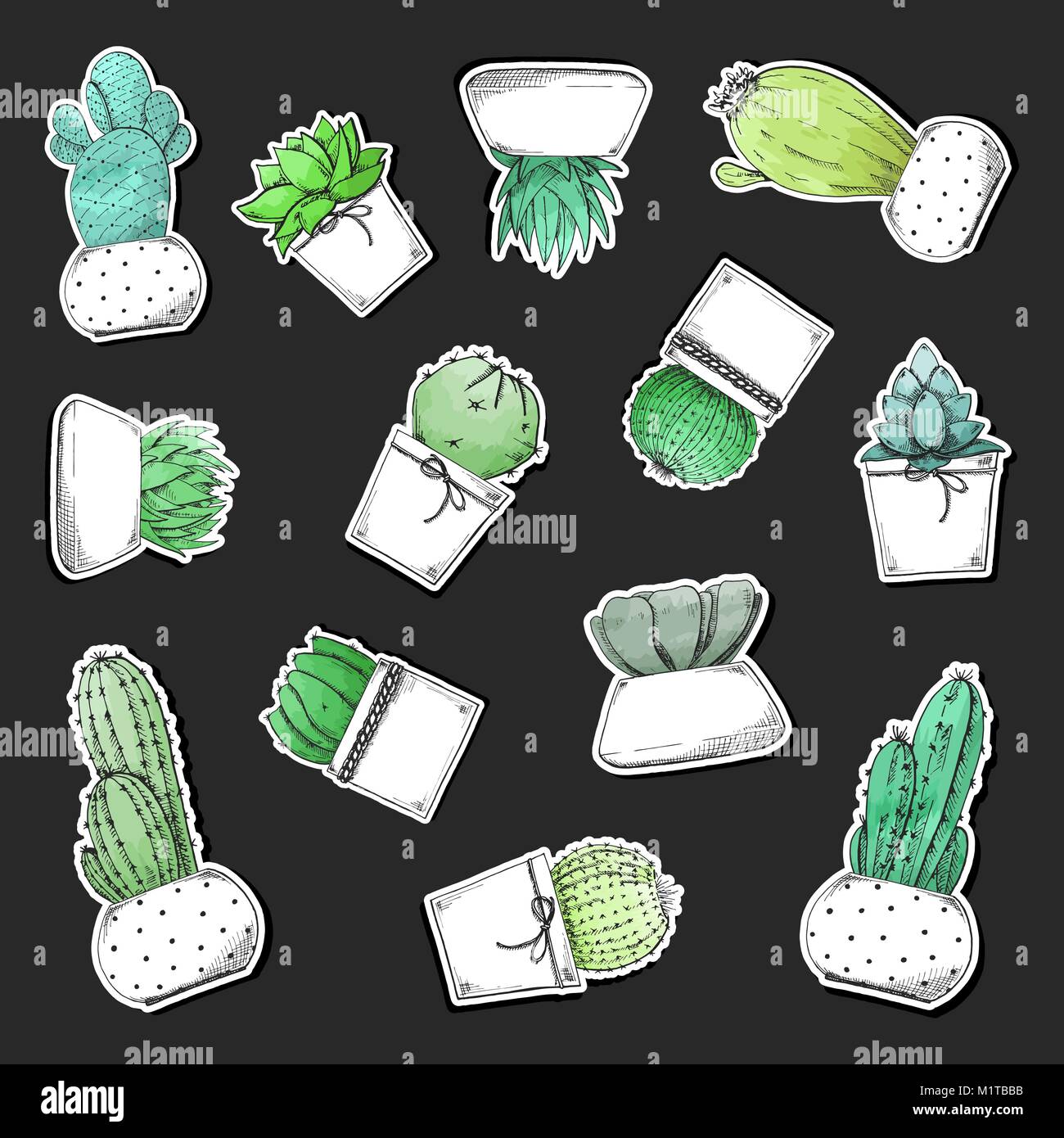 Sticker pack of succulents in pots. Stylized watercolor. Vector ...