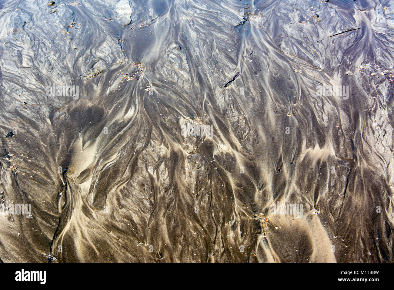 Abstract shapes in nature hi-res stock photography and images - Alamy