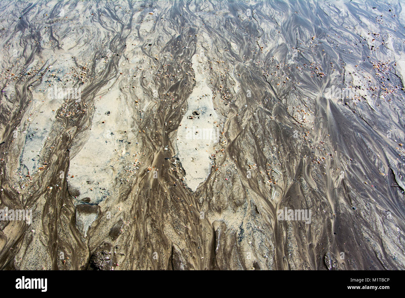 Abstract patterns in nature hi-res stock photography and images - Alamy