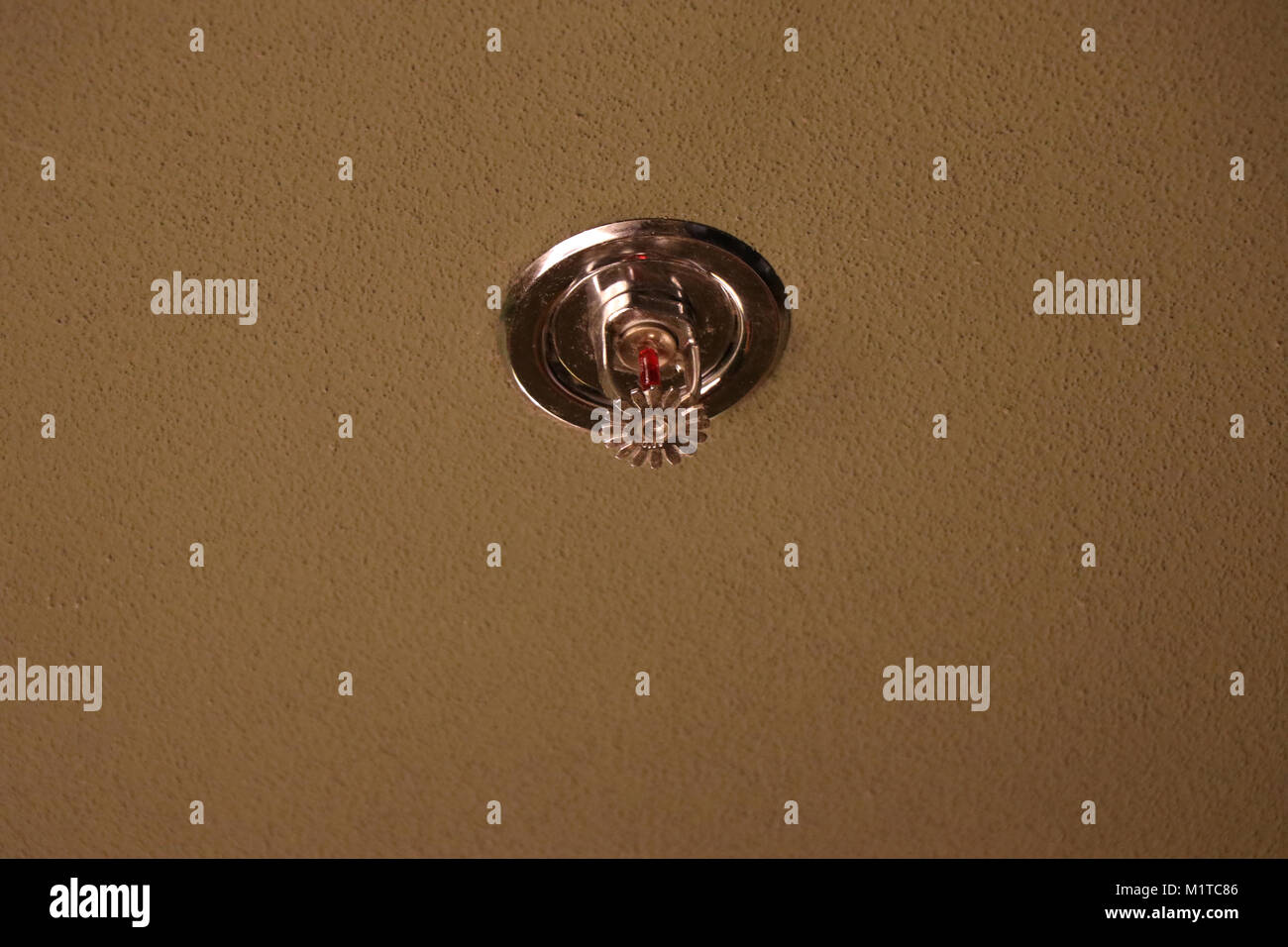 Ceiling fire sprinkler hi-res stock photography and images - Alamy