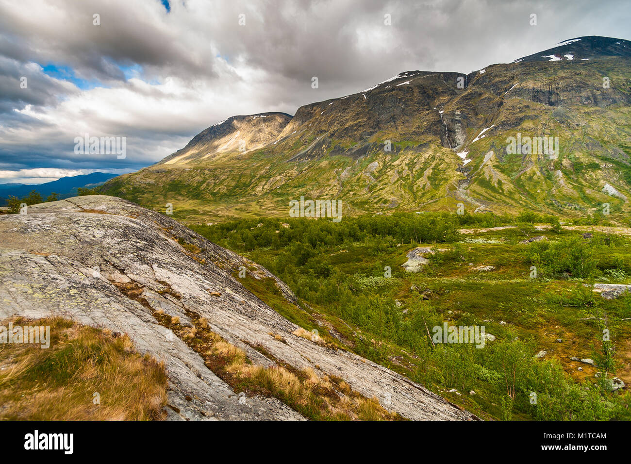 The landscape of the Norwegian national park Jotunheimen, Norway Stock ...