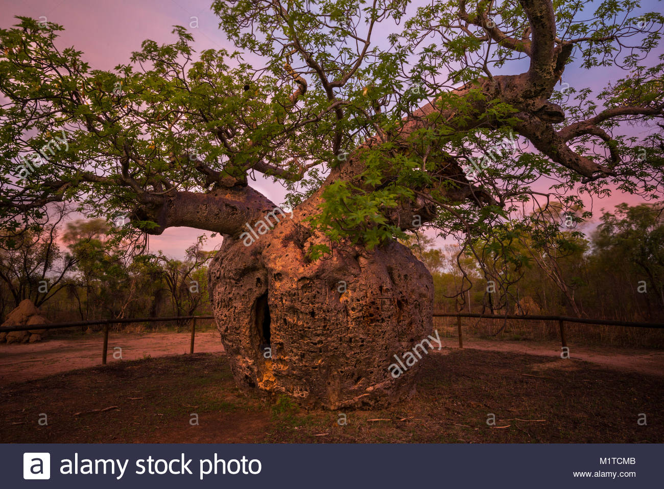 Derby Australia Stock Photos & Derby Australia Stock Images - Alamy
