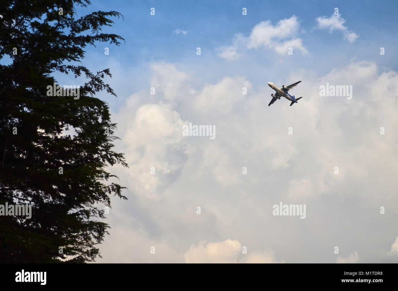 Airplane crossing hi-res stock photography and images - Alamy