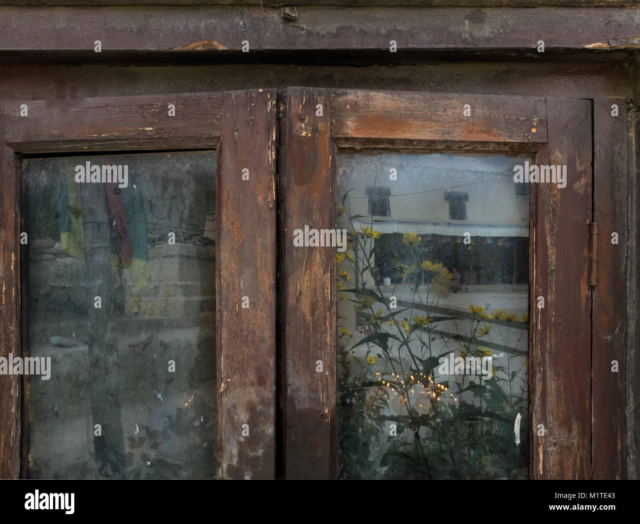 Old dirty windows in wooden frames, the glass reflects bright yellow ...