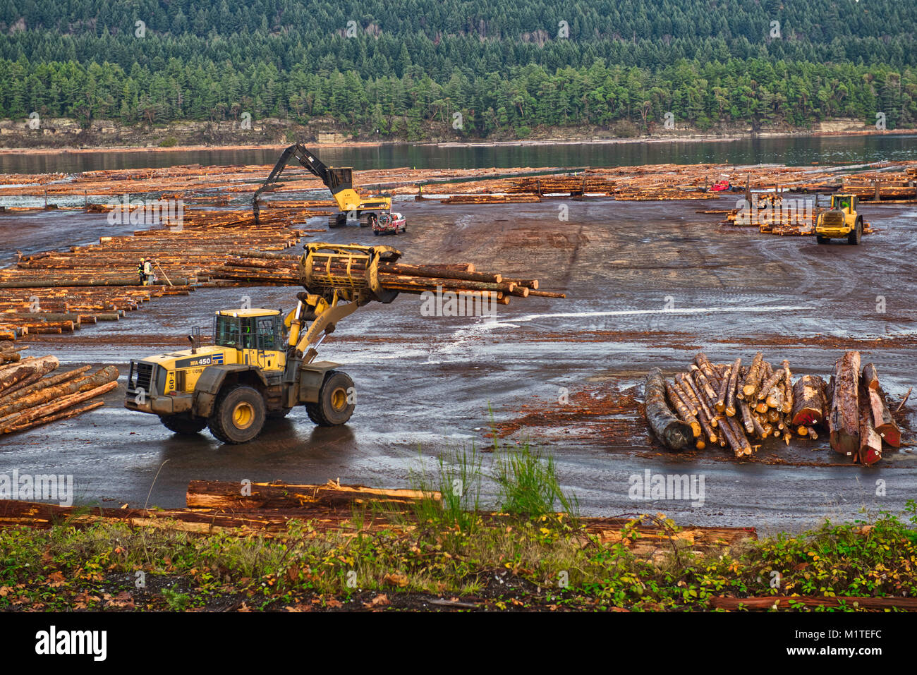 View of timber and logging industry in Ladysmith, Vancouver Island ...