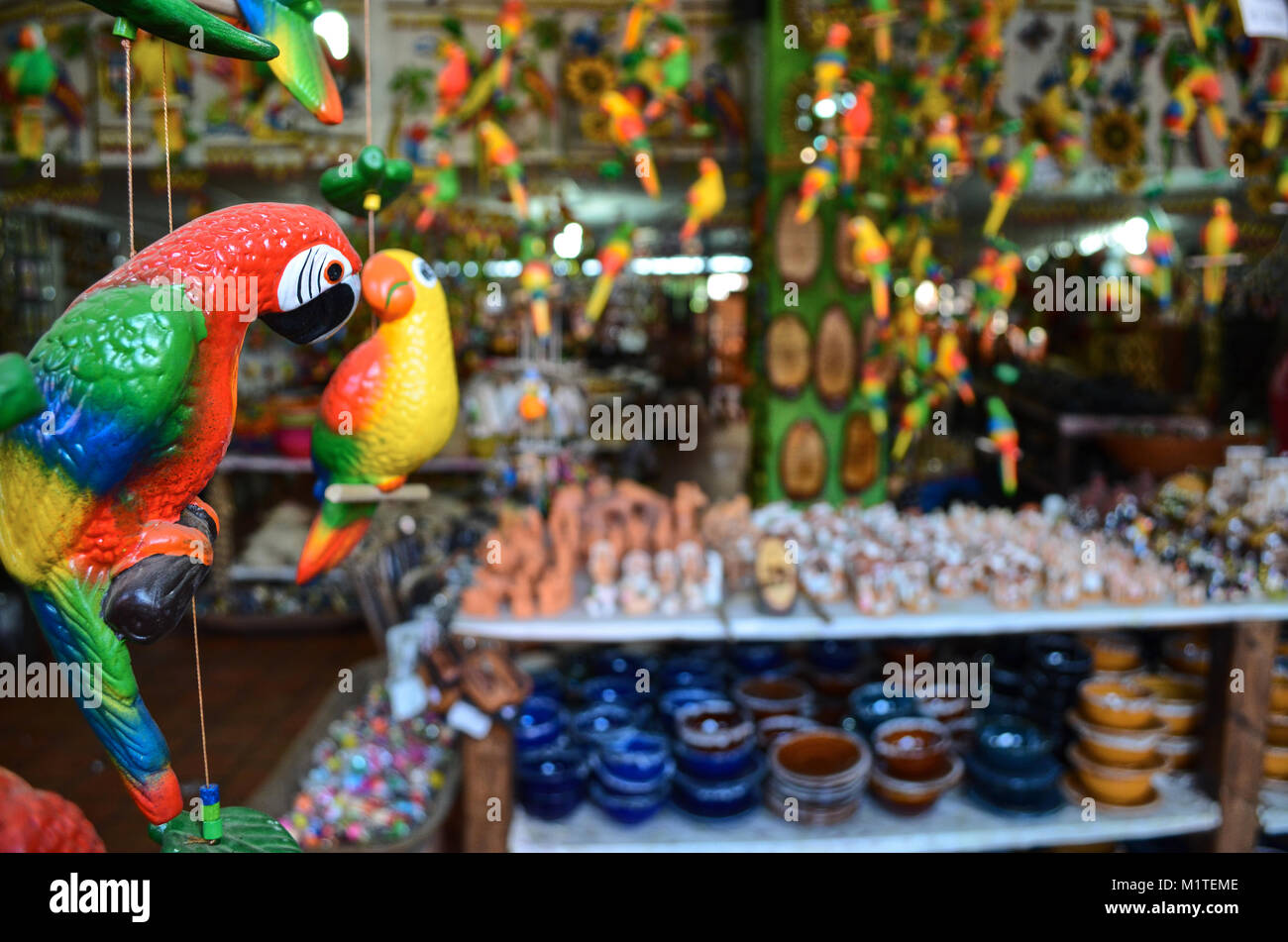 Parrots of colombia hi-res stock photography and images - Alamy