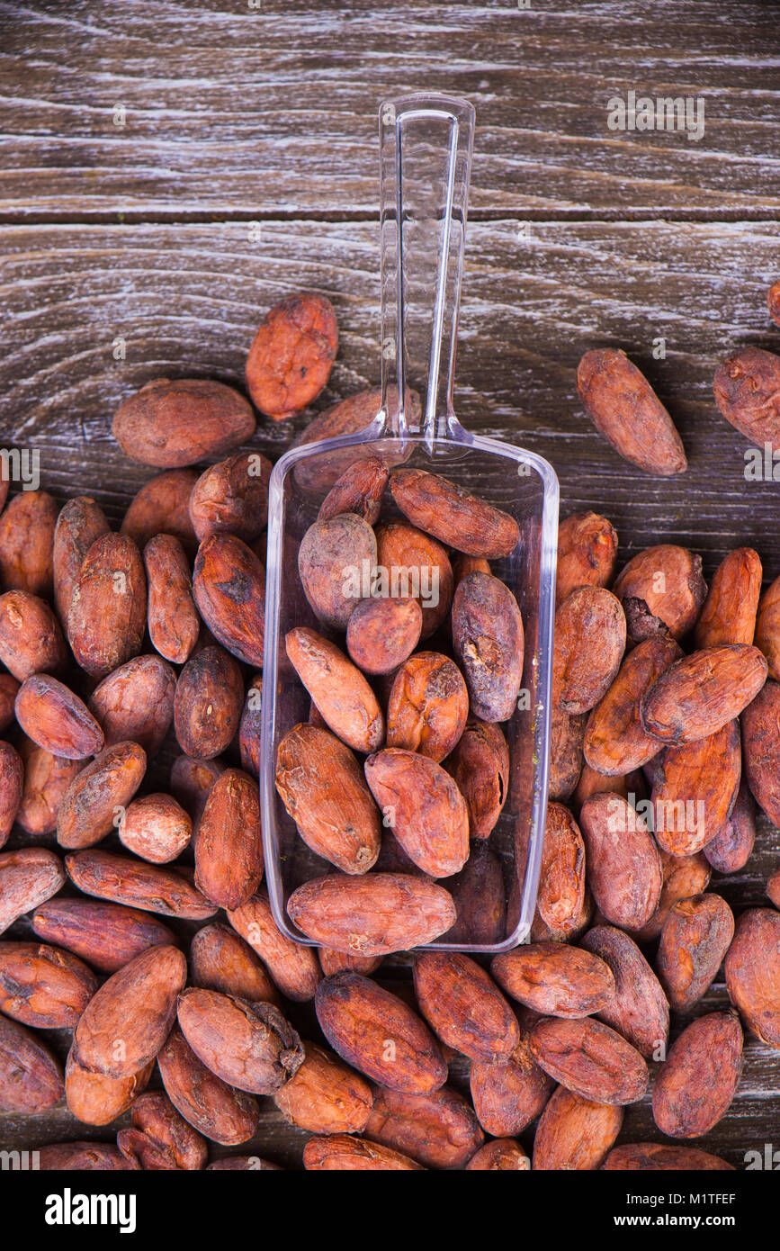 Detail of cacao beans with scooper over wood texture background Stock ...