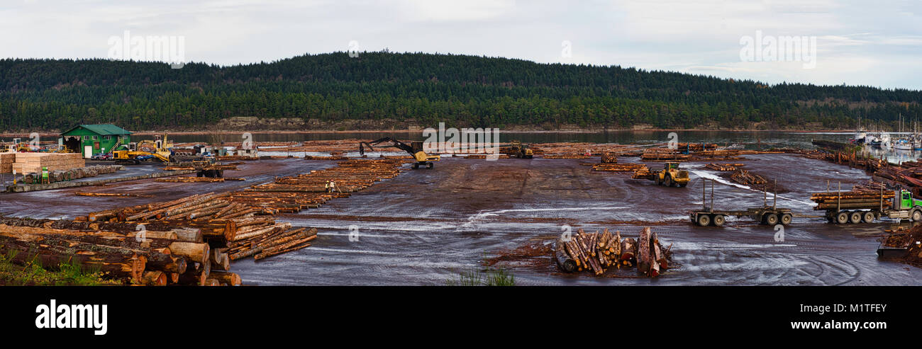 Panoramic view of timber and logging industry in Ladysmith, Vancouver ...