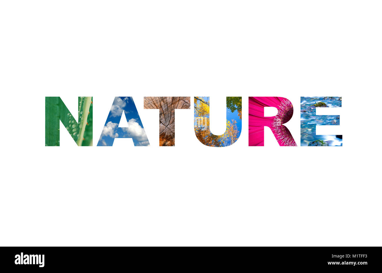 Logo lettering Nature word with flowers and leaves pattern for every ...