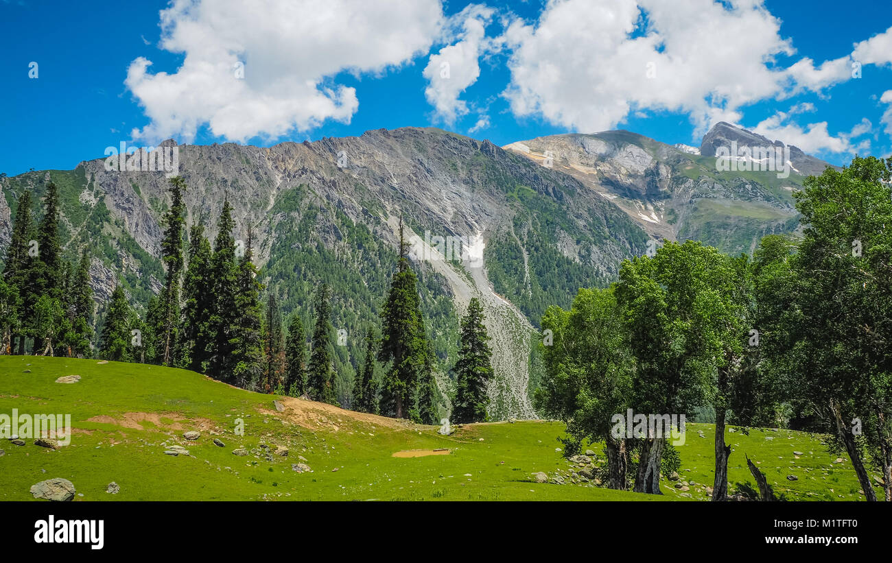 Beautiful mountain landscape of Sonamarg, Jammu and Kashmir state ...