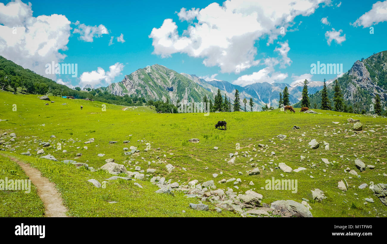 Beautiful mountain landscape of Sonamarg, Jammu and Kashmir state ...