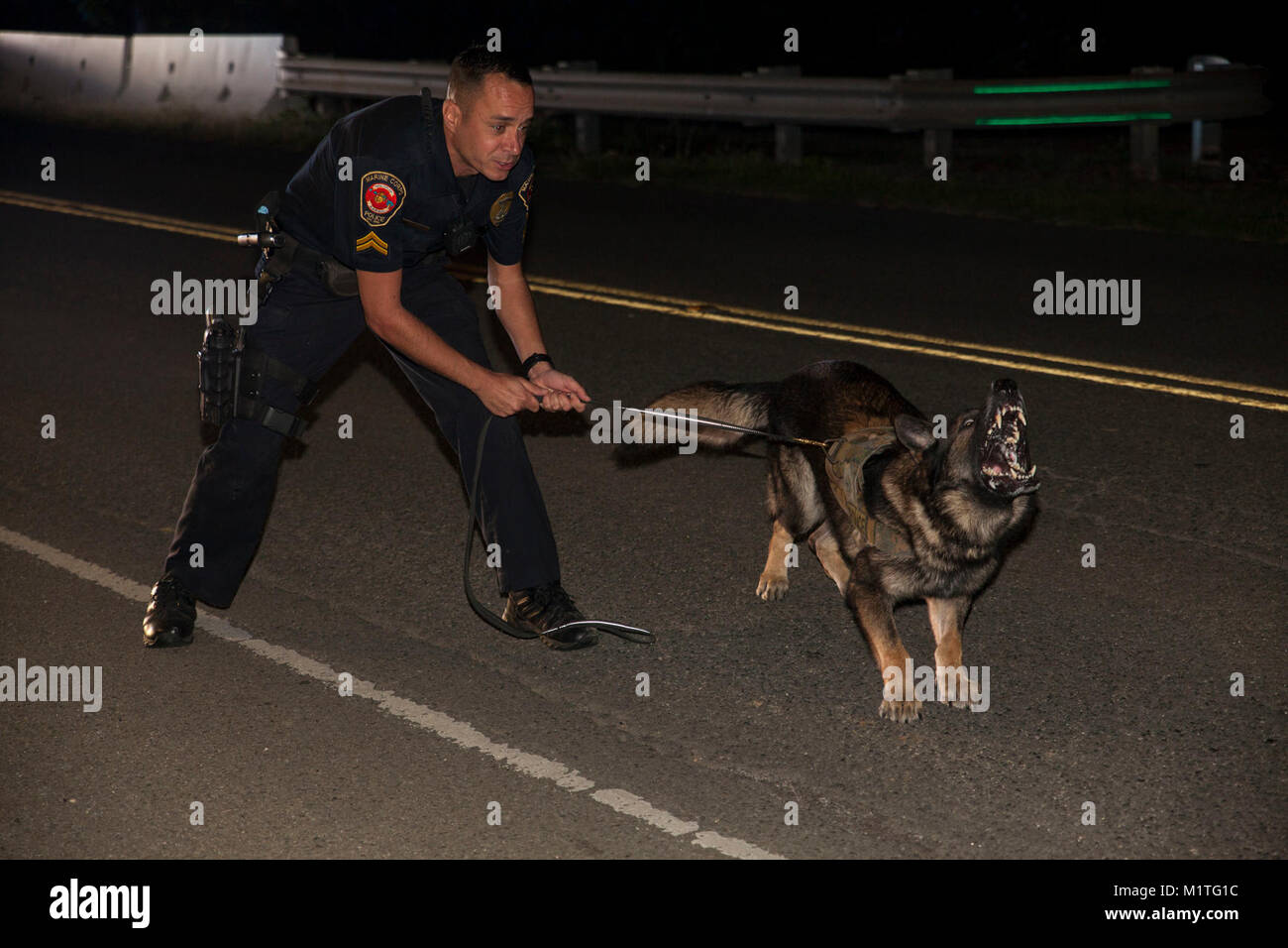 Provost marshals office military working dogs hi-res stock photography ...