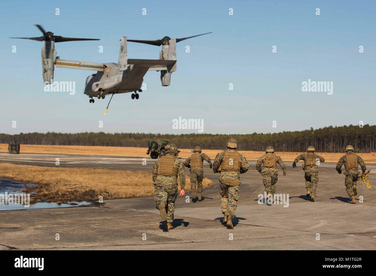 Marines with Landing Support Company, 2nd Transportation Support ...