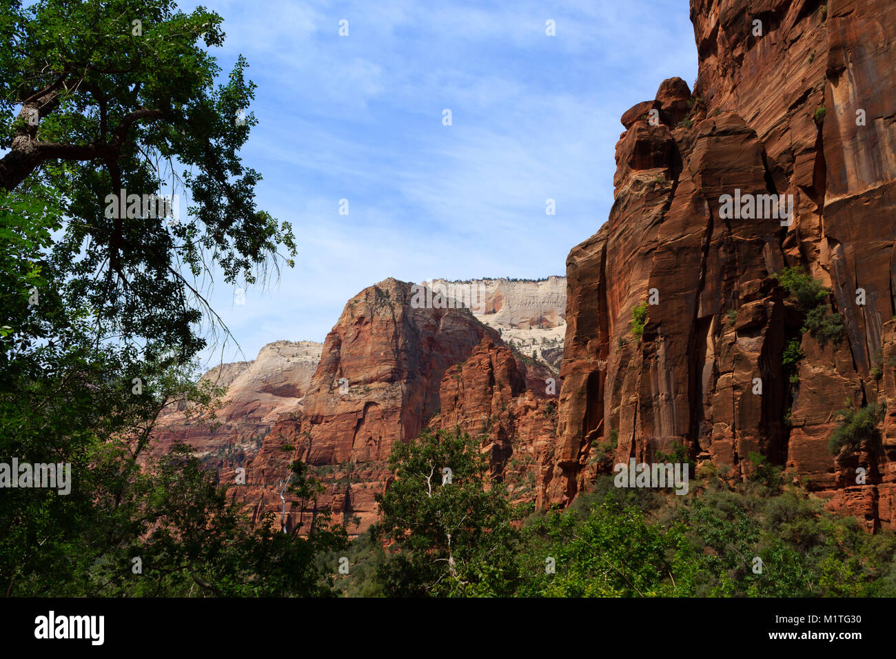 Panorama from Zion National Park, Utah USA. Geological formations ...