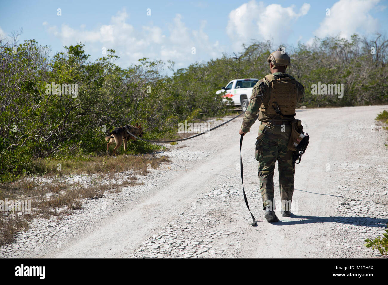 A special operations multi-purpose canine leads his handler toward a ...