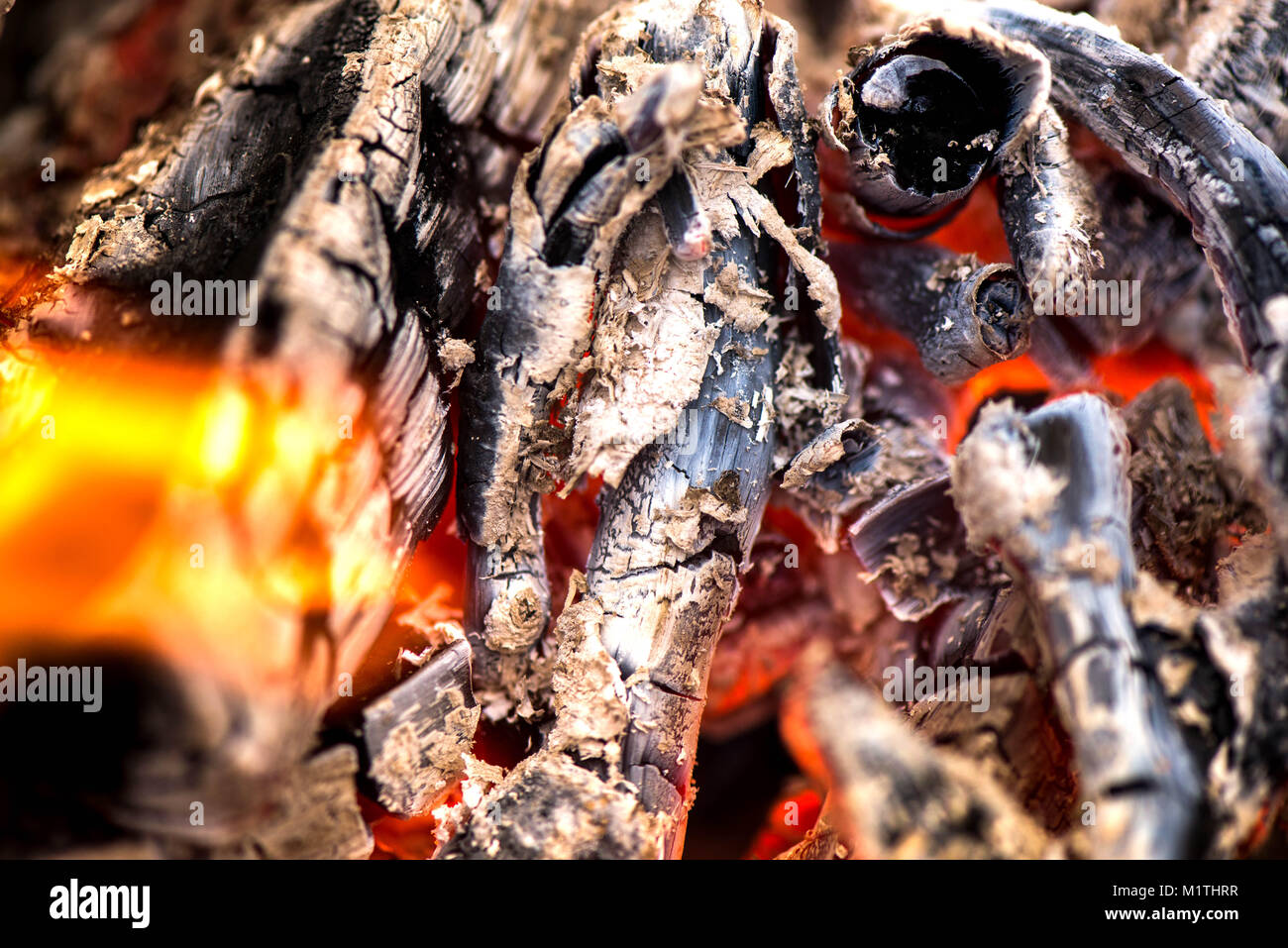 Ignite the fire. Warming up the cold winter nights. A macro shot of ...