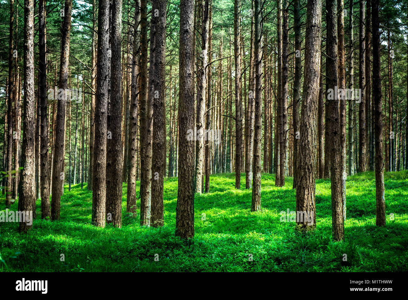 Thick layer soil hi-res stock photography and images - Alamy