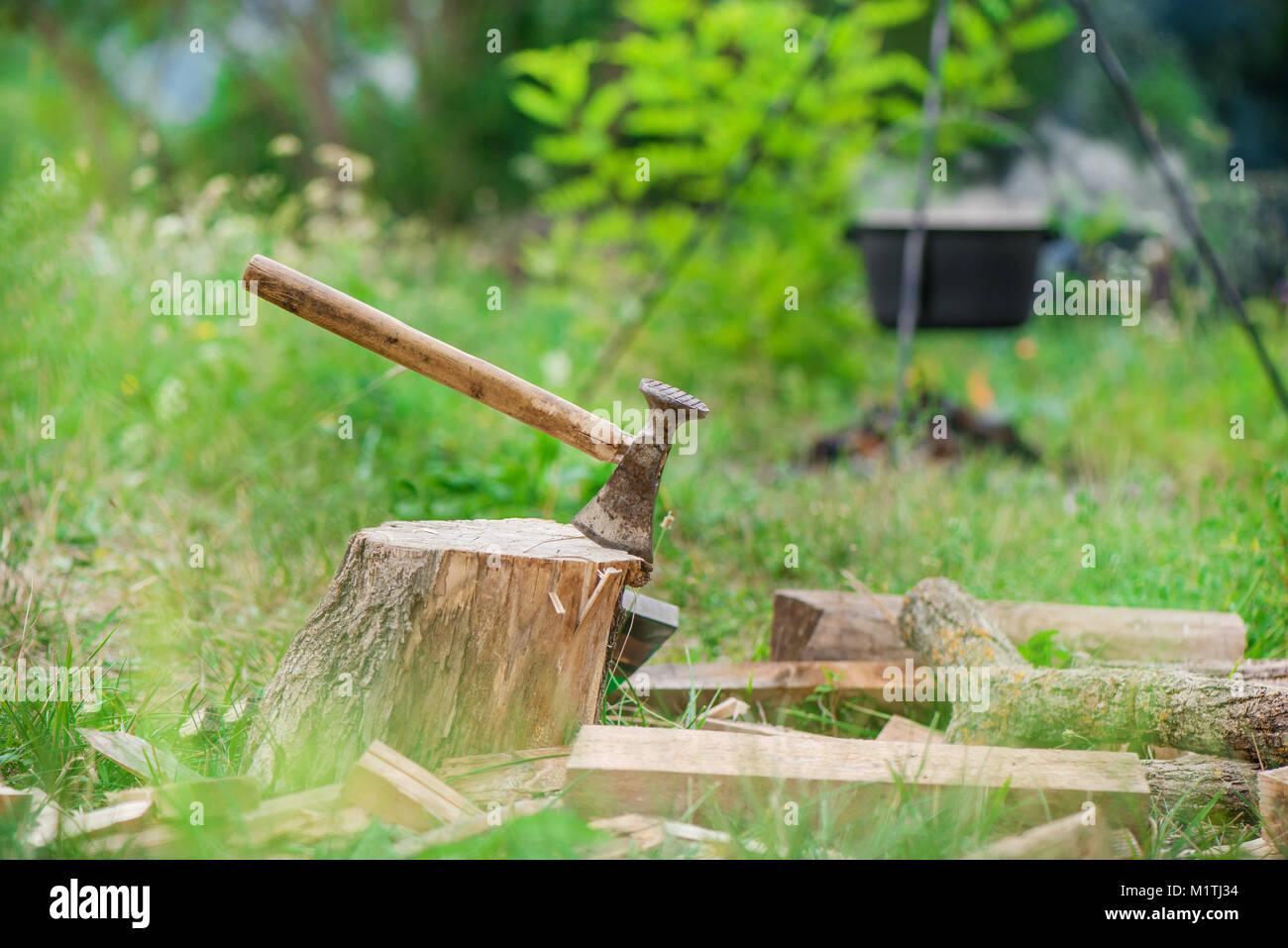 Moody shot of axe cut in a stump on green countryside and forest ...