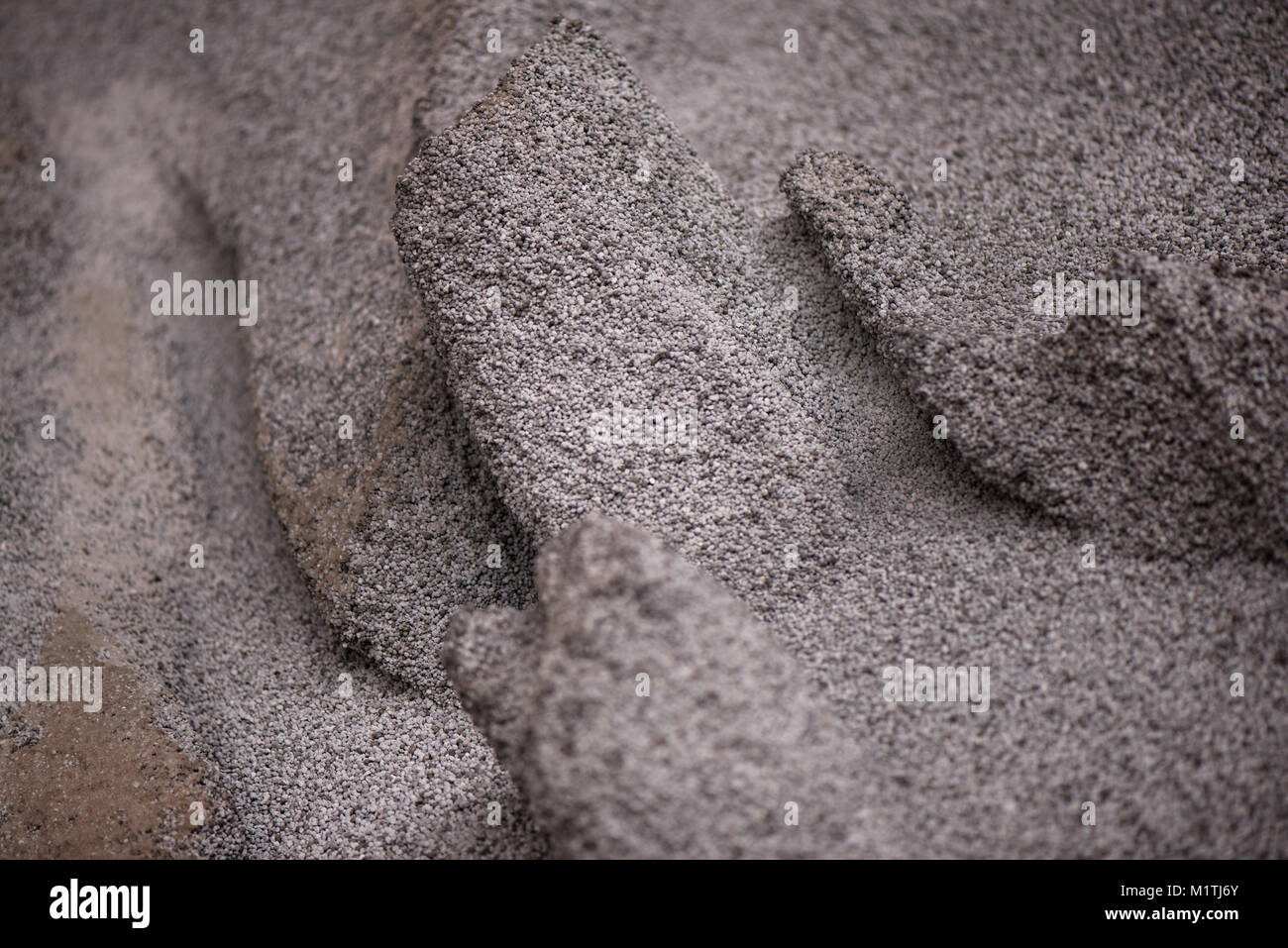 Shot of mixed chemical, artificial nitrogen plant fertilizer granules ...