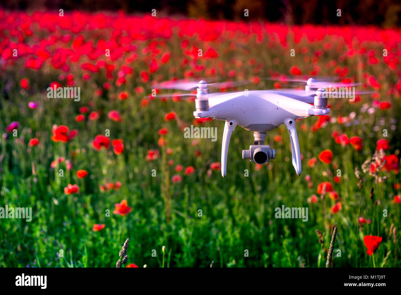 White quadrocopter, is flying high in the air, to take photos and ...