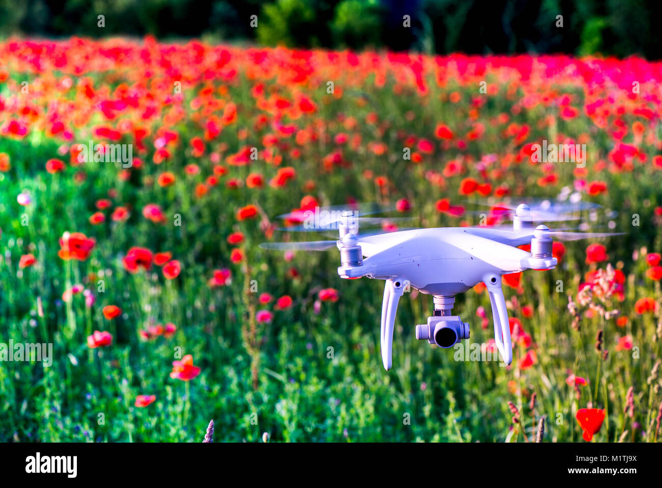 White quadrocopter, is flying high in the air, to take photos and ...