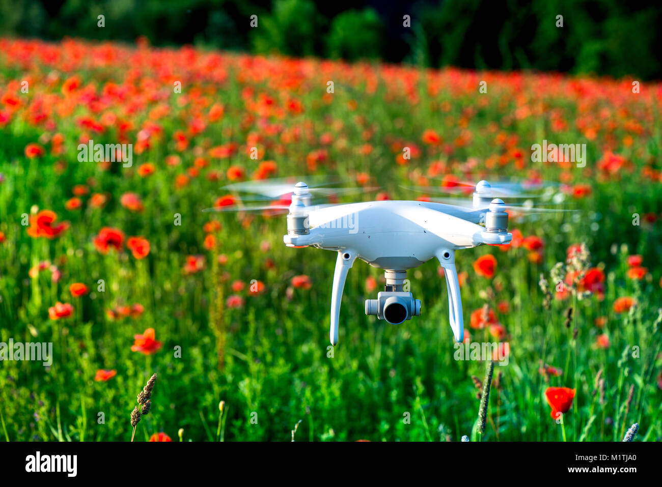 White quadrocopter, is flying high in the air, to take photos and ...
