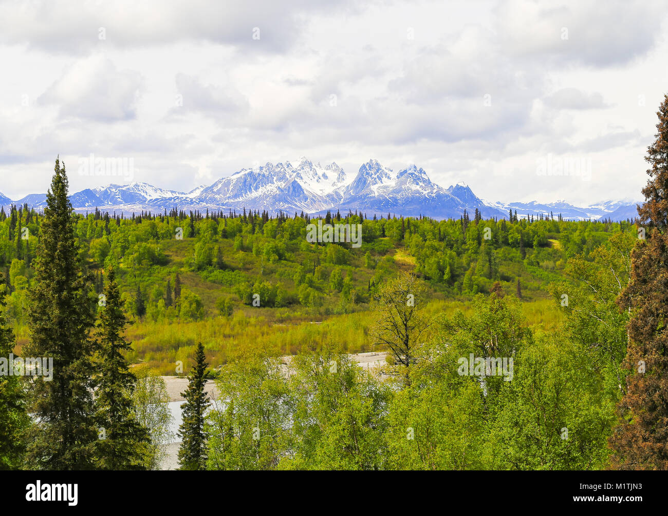 Peaks of the Denali National Park in Alaska with trees in the ...