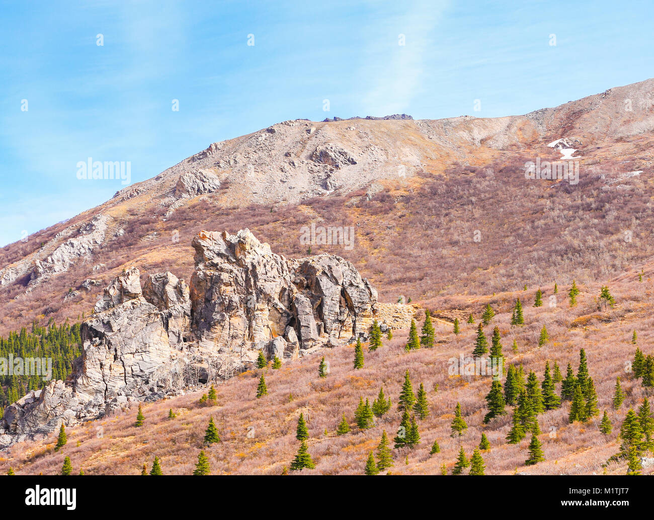 Mount denali wildlife hi-res stock photography and images - Alamy