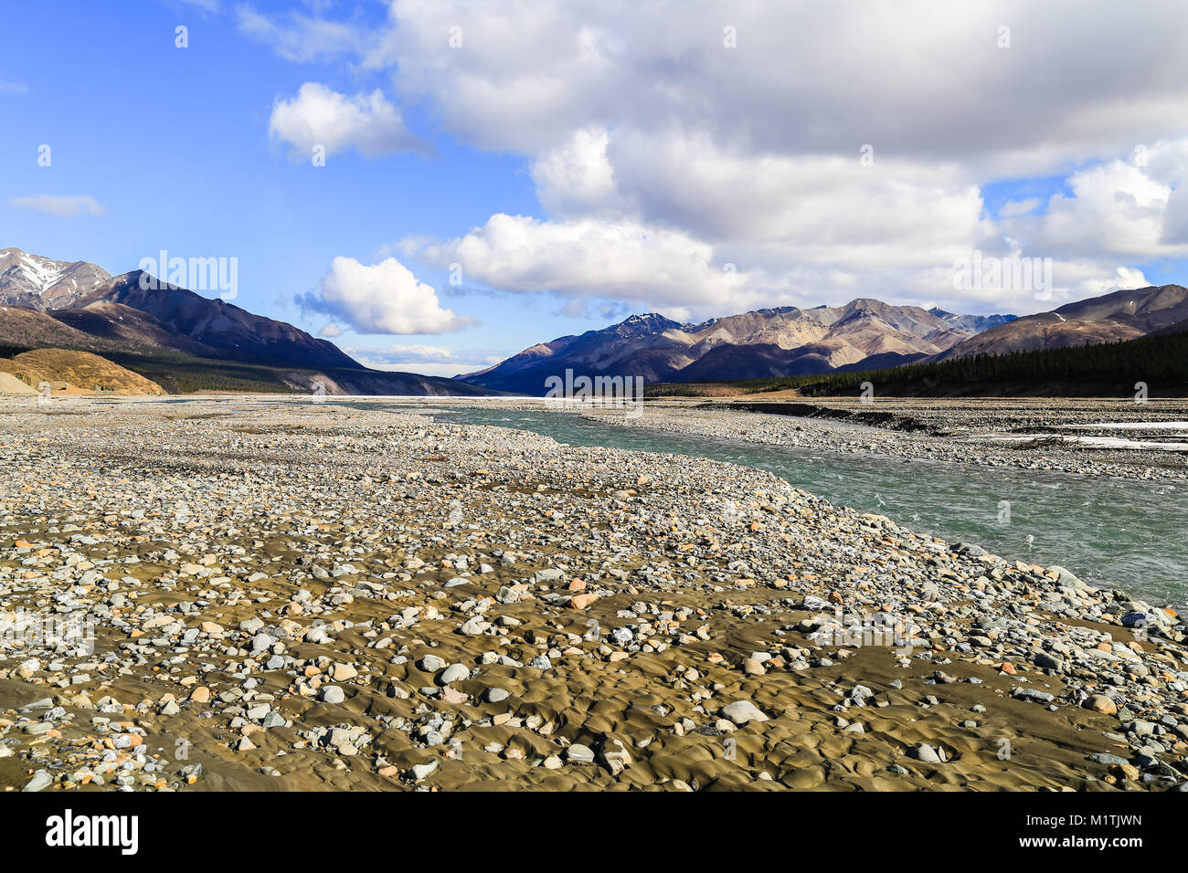Alaska wildlife denali river hi-res stock photography and images - Alamy