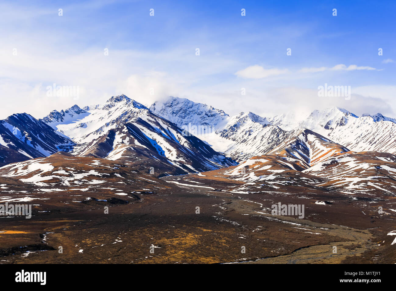 The Polychrome Overlook in Denali National Park, Alaska with volcanic ...