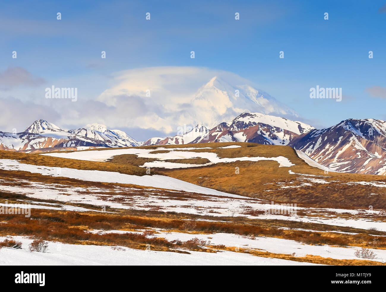Denali National Park in Alaska with the snow covered Denali Peak in the ...