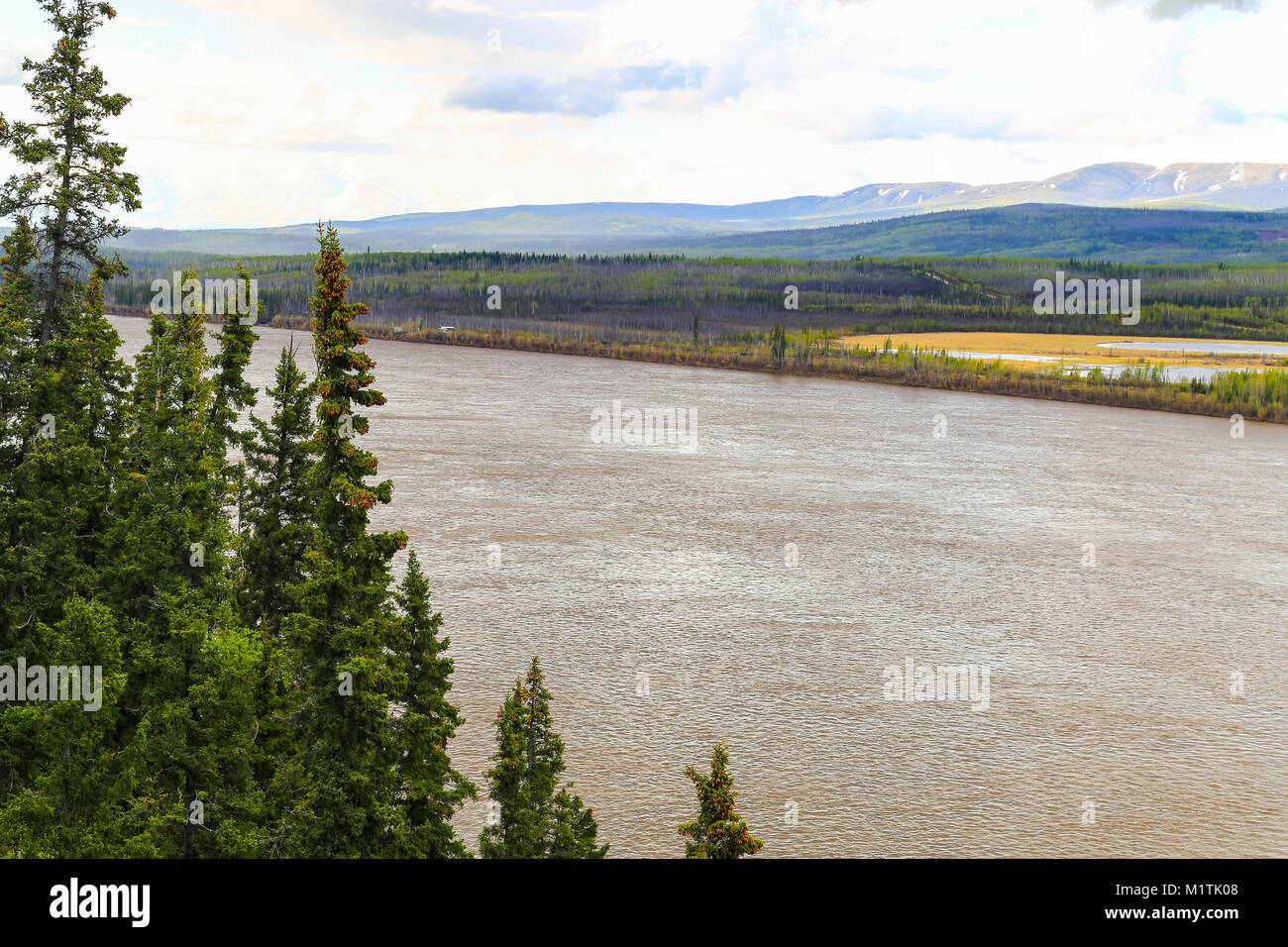 The Yukon River in the wilderness of Alaska, USA, near Yukon River Camp ...