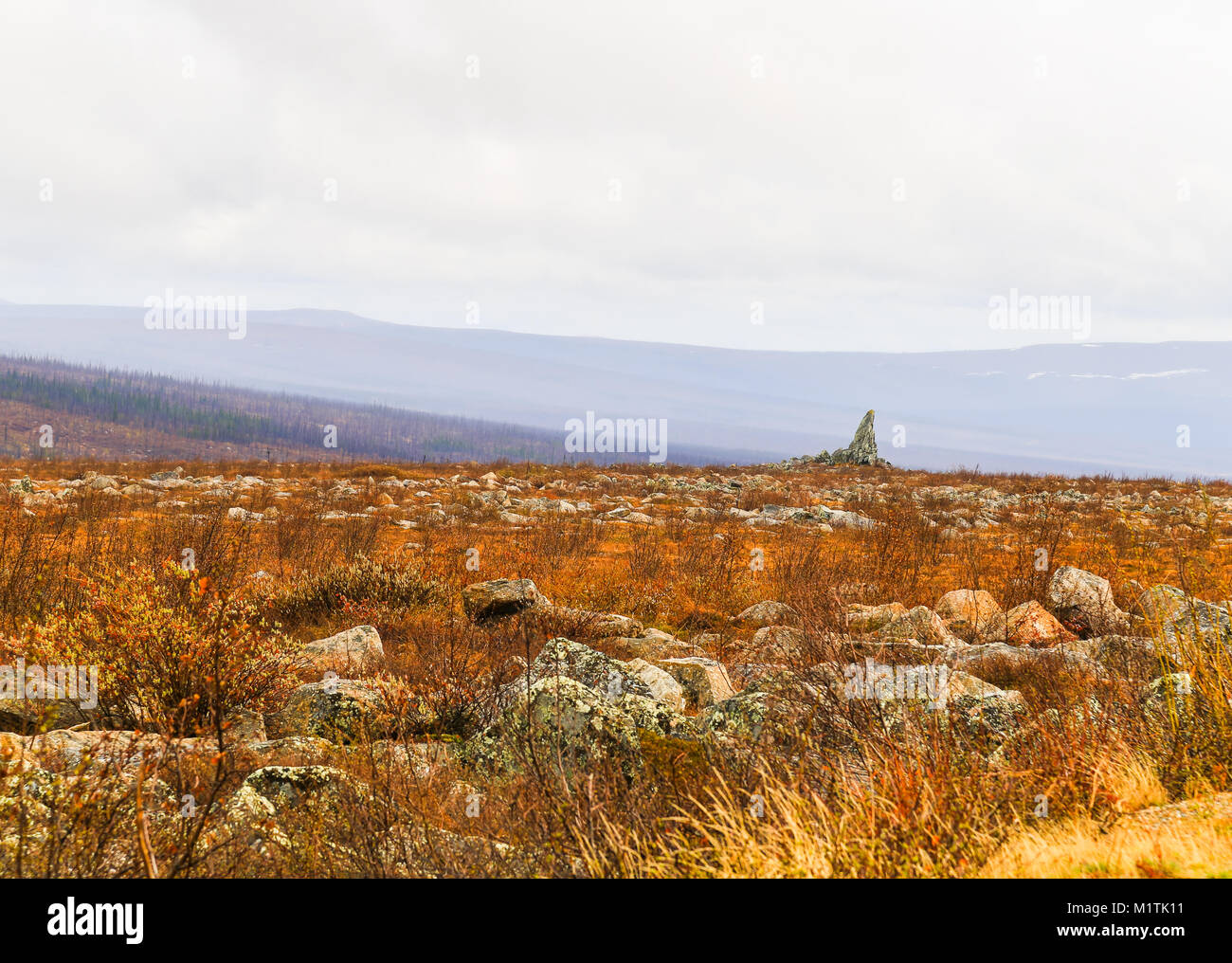 The Finger Rock in the arctic tundra in Alaska between Fairbanks and ...