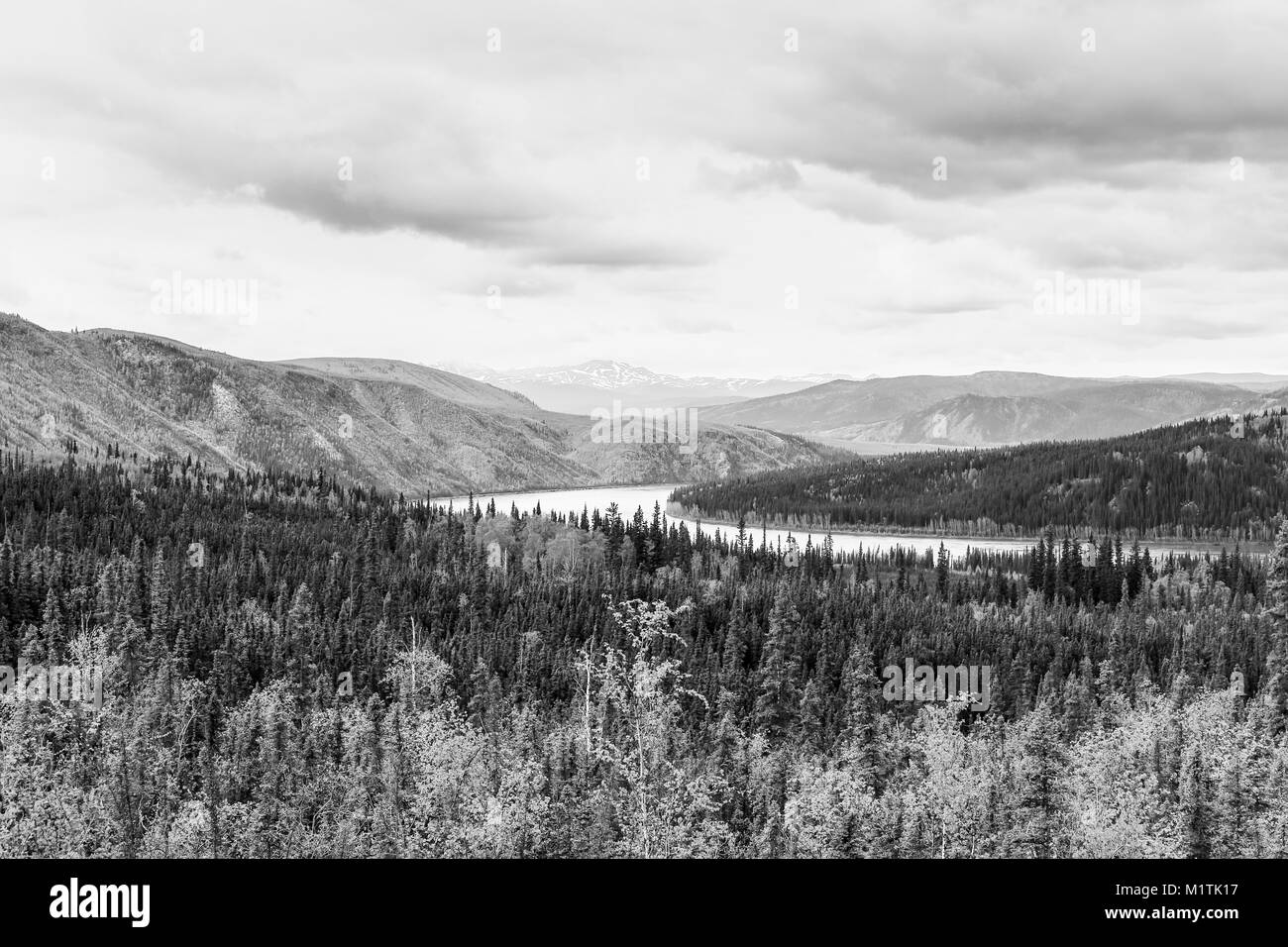 The Yukon River in the wilderness of Alaska, USA, near Yukon River Camp ...